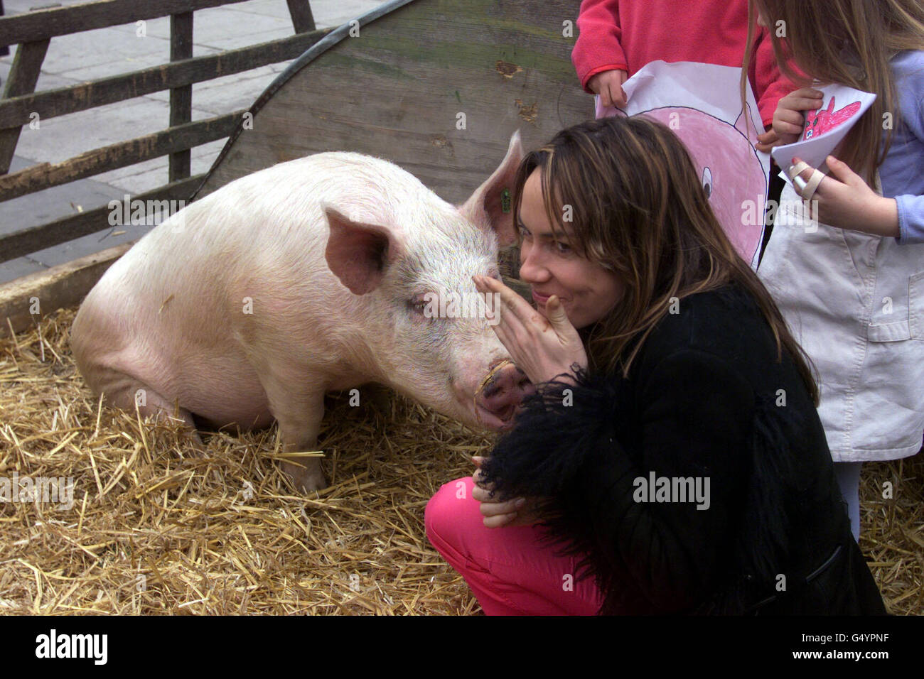 Tara & Pig Stock Photo - Alamy