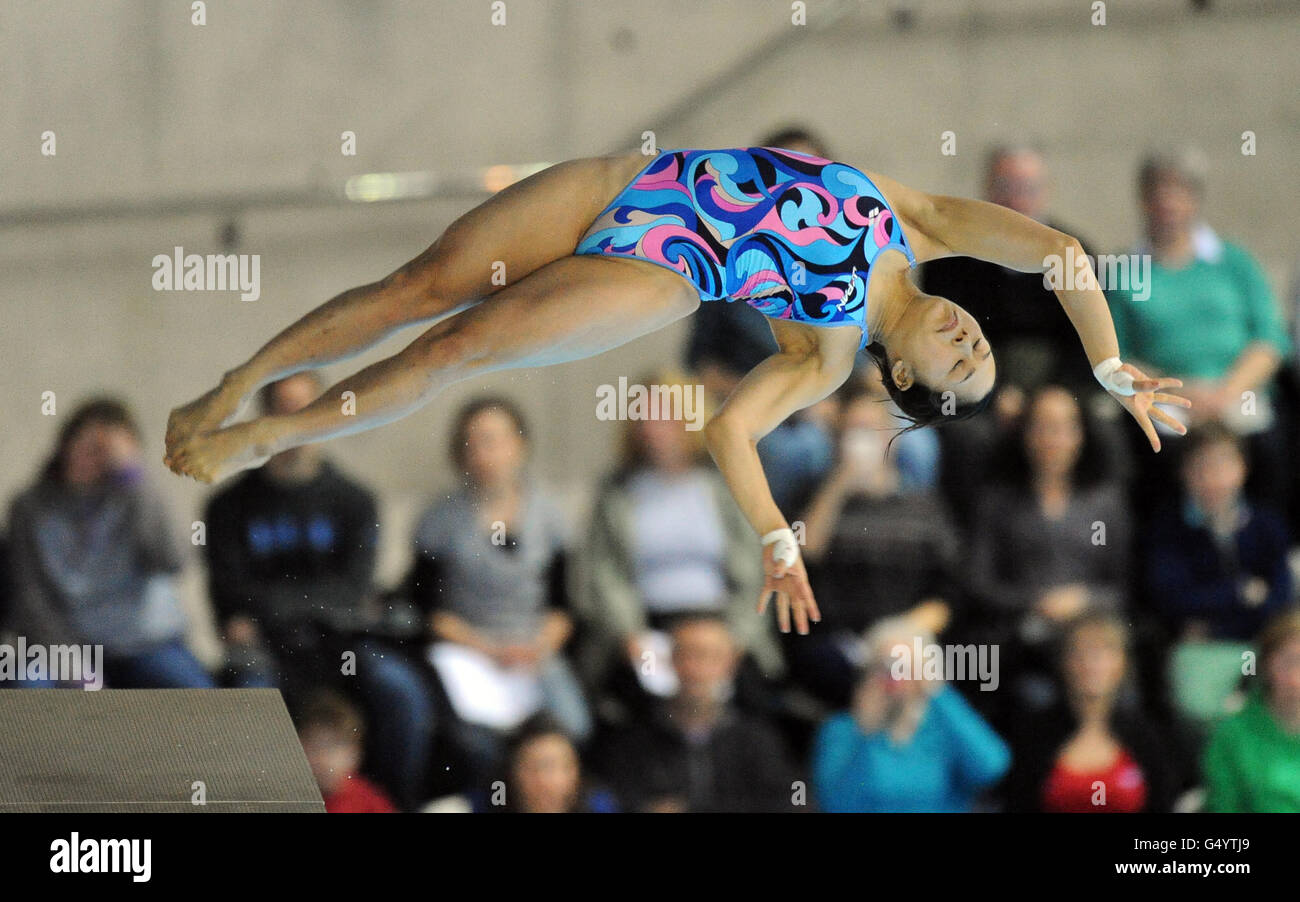 Diving - 18th FINA Visa Diving World Cup - Day Two - Olympic Aquatics ...