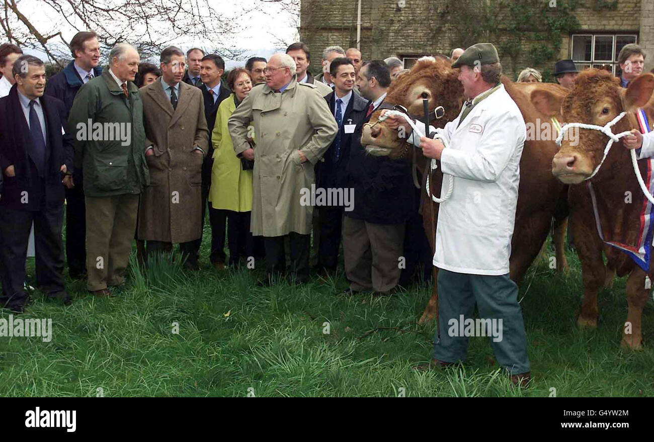 Royal agriculture cow prince of wales prince charles hi-res stock ...