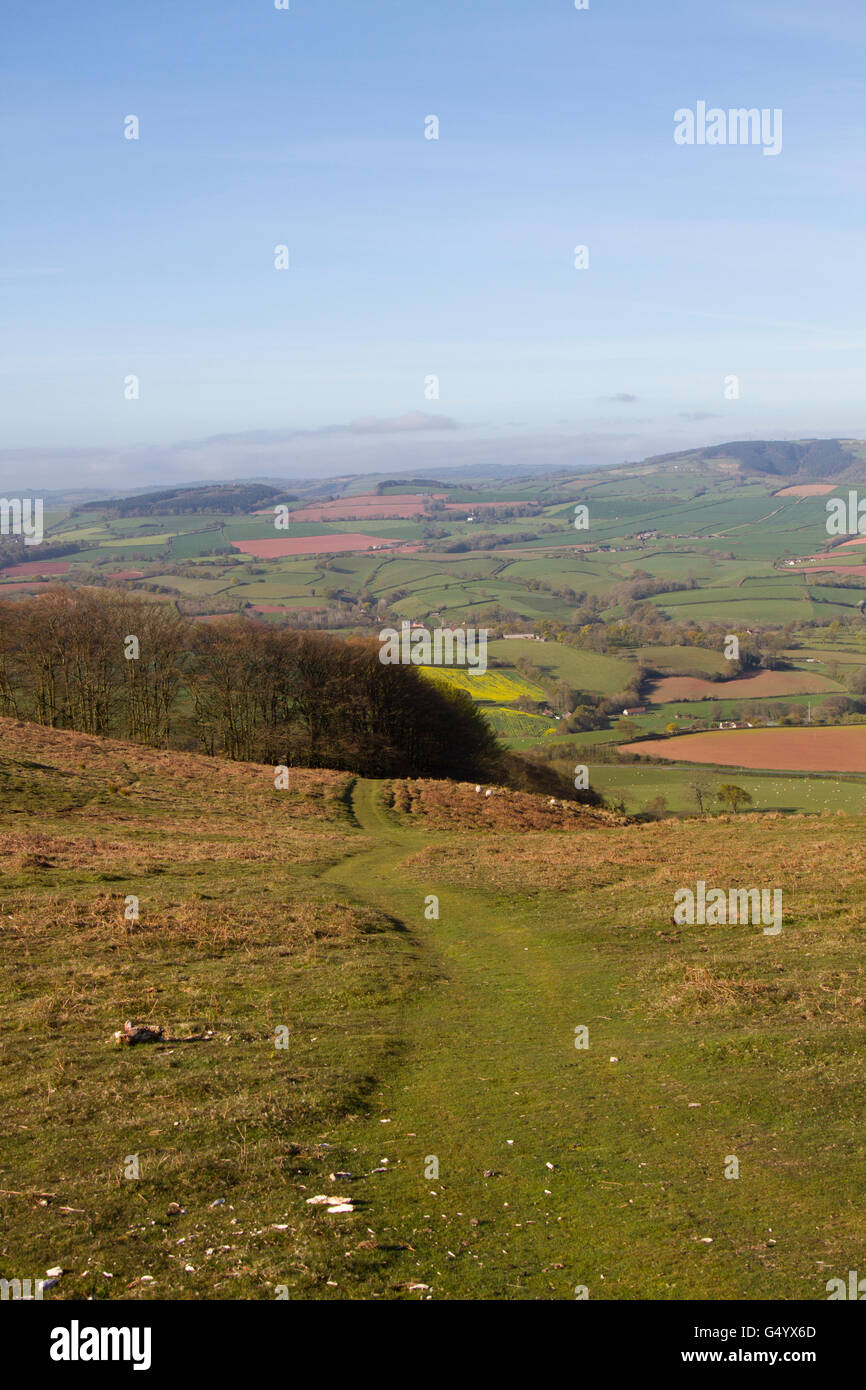 Quantocks hi-res stock photography and images - Alamy