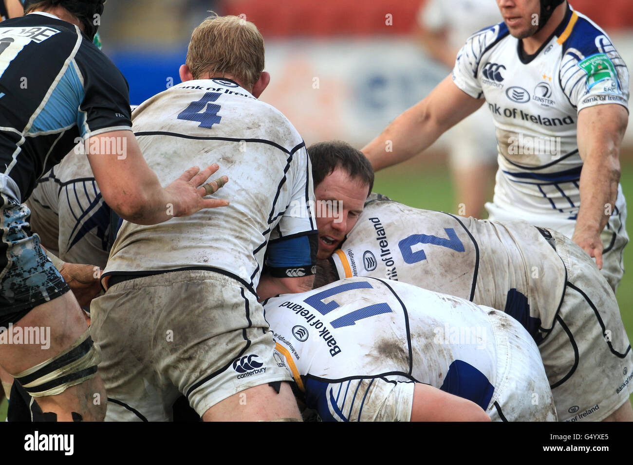 Graeme morrison glasgow warriors hi-res stock photography and images ...