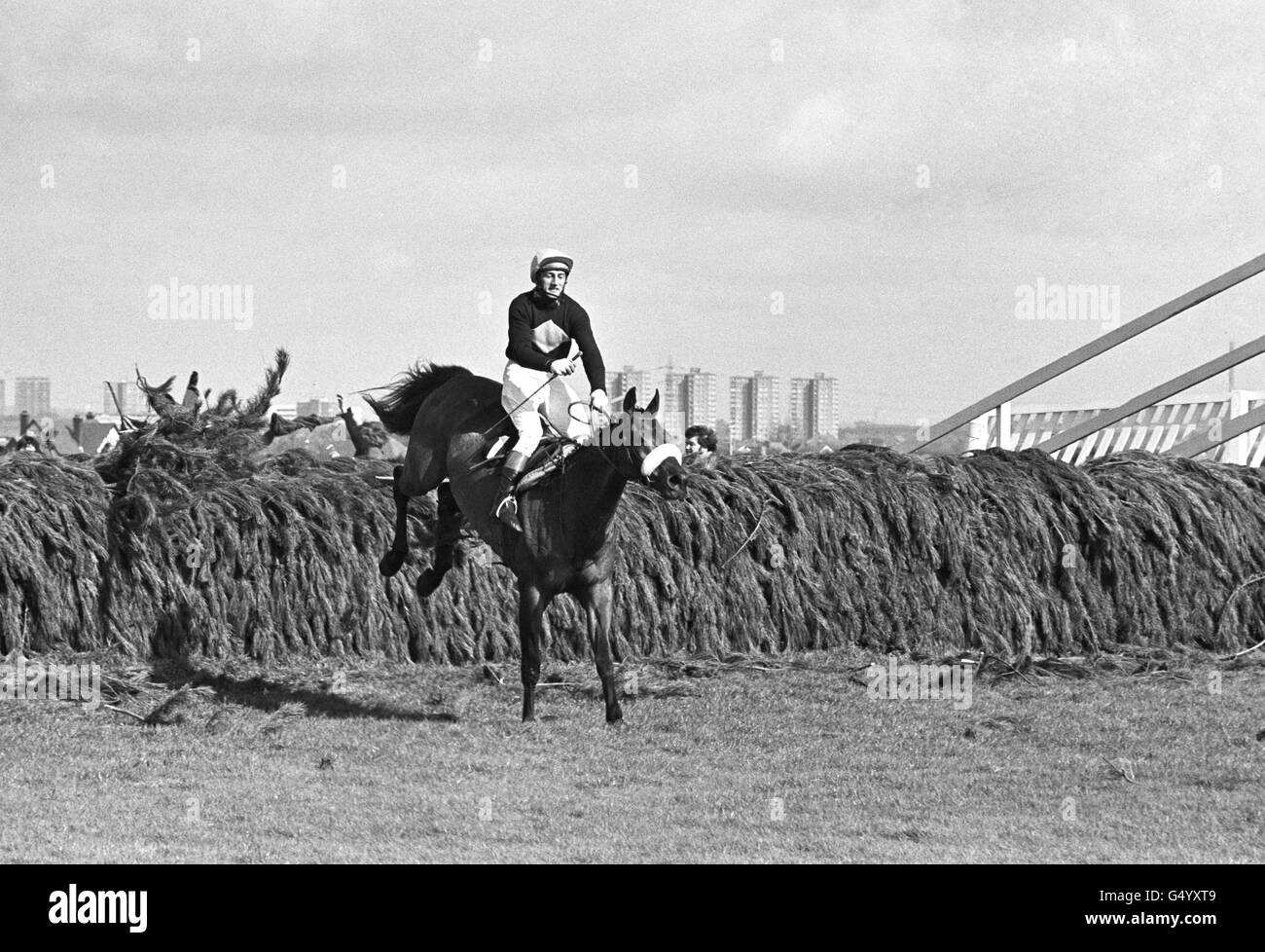 Red rum grand national tommy stack hi-res stock photography and images ...