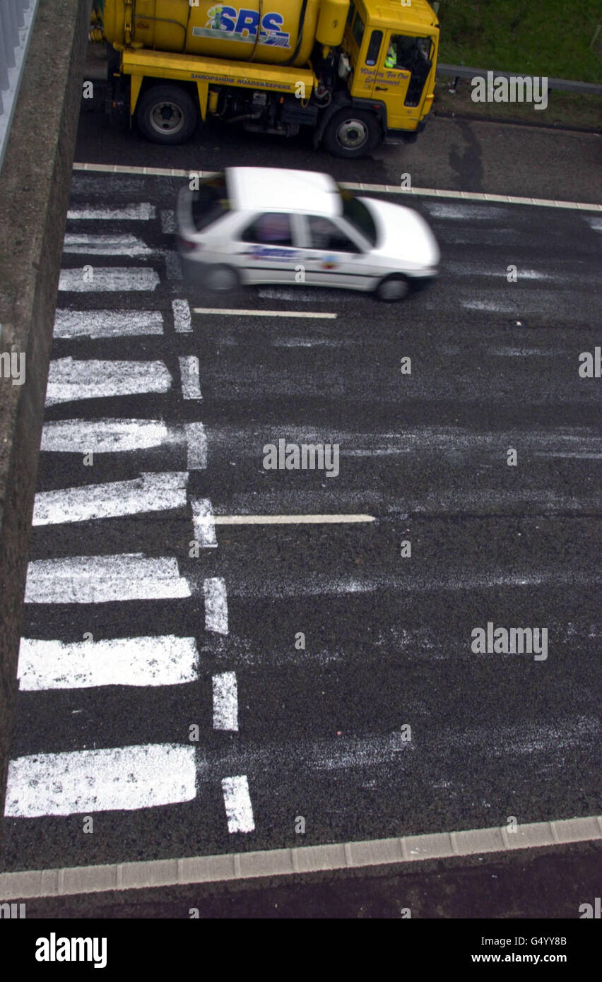 Cars on thre M3 motorway cross a zebra crossing , which was painted in ...