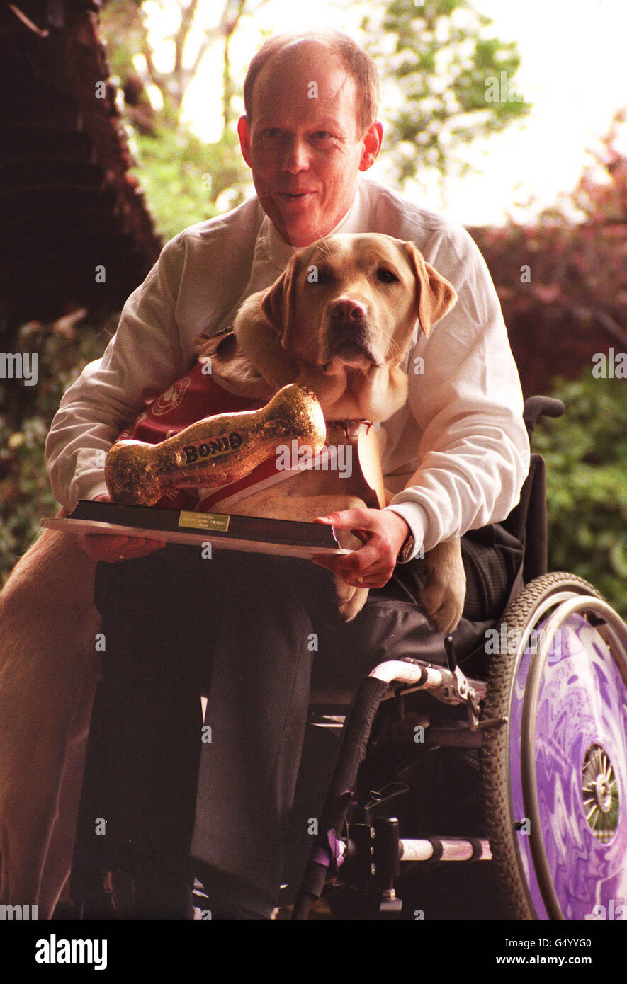 National Golden Bonio prize winner 'Endal', a two and a half year old ...