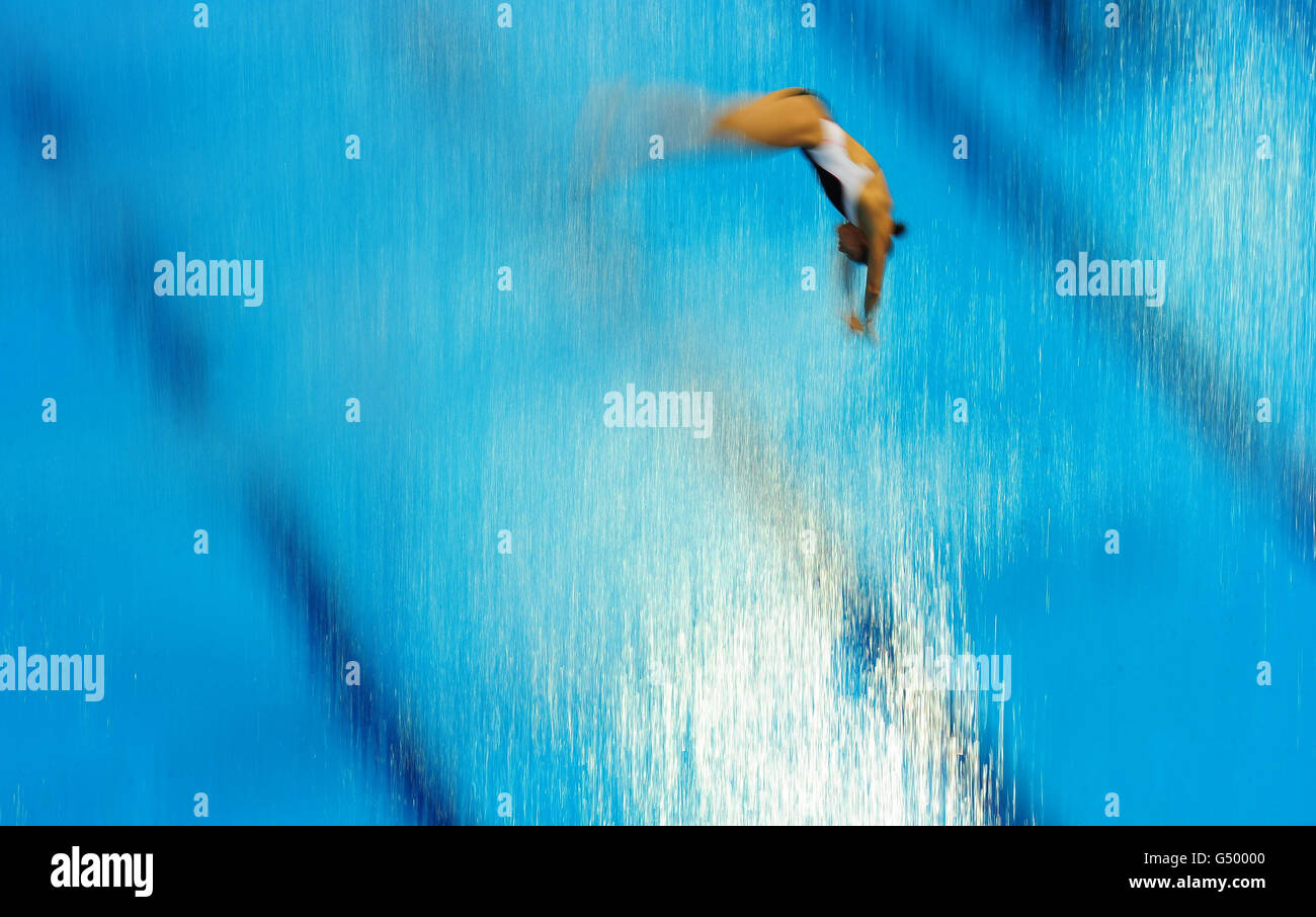 Diving - 18th FINA Visa Diving World Cup - Day Five - Olympic Aquatics ...