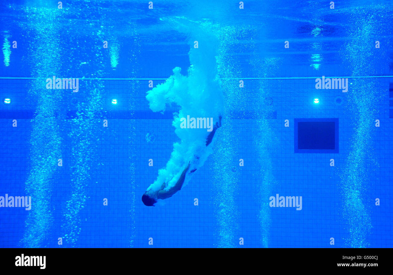 Mens platform diving hi-res stock photography and images - Alamy