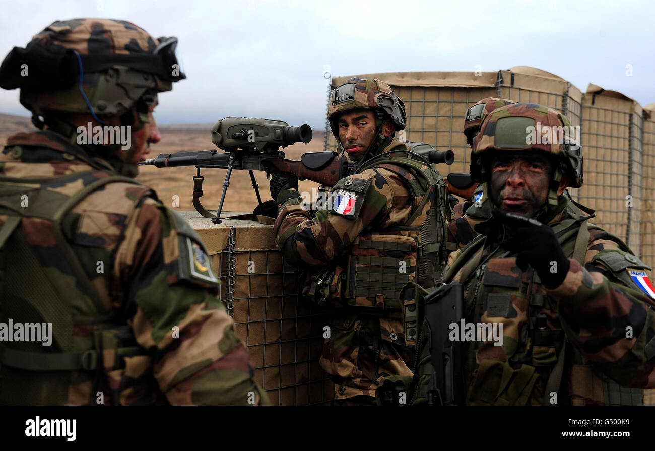 Joint live firing exercise british soldiers otterburn ranges in ...