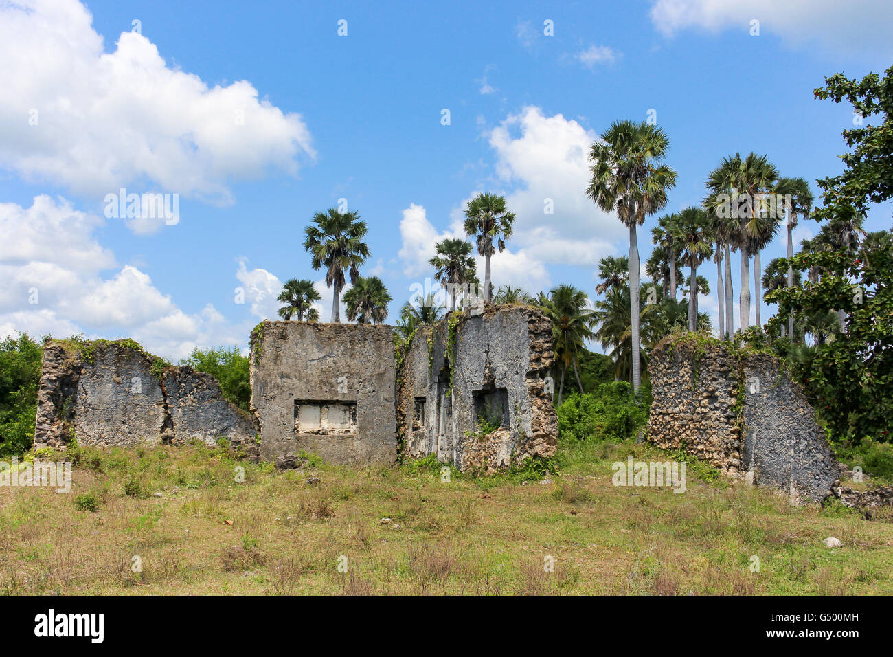Tanzania, Zanzibar, Pemba Island, ruins of Ras Mkumbuu Stock Photo - Alamy