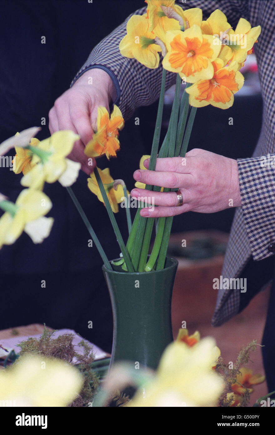 Flowers in a show vase hi-res stock photography and images - Alamy