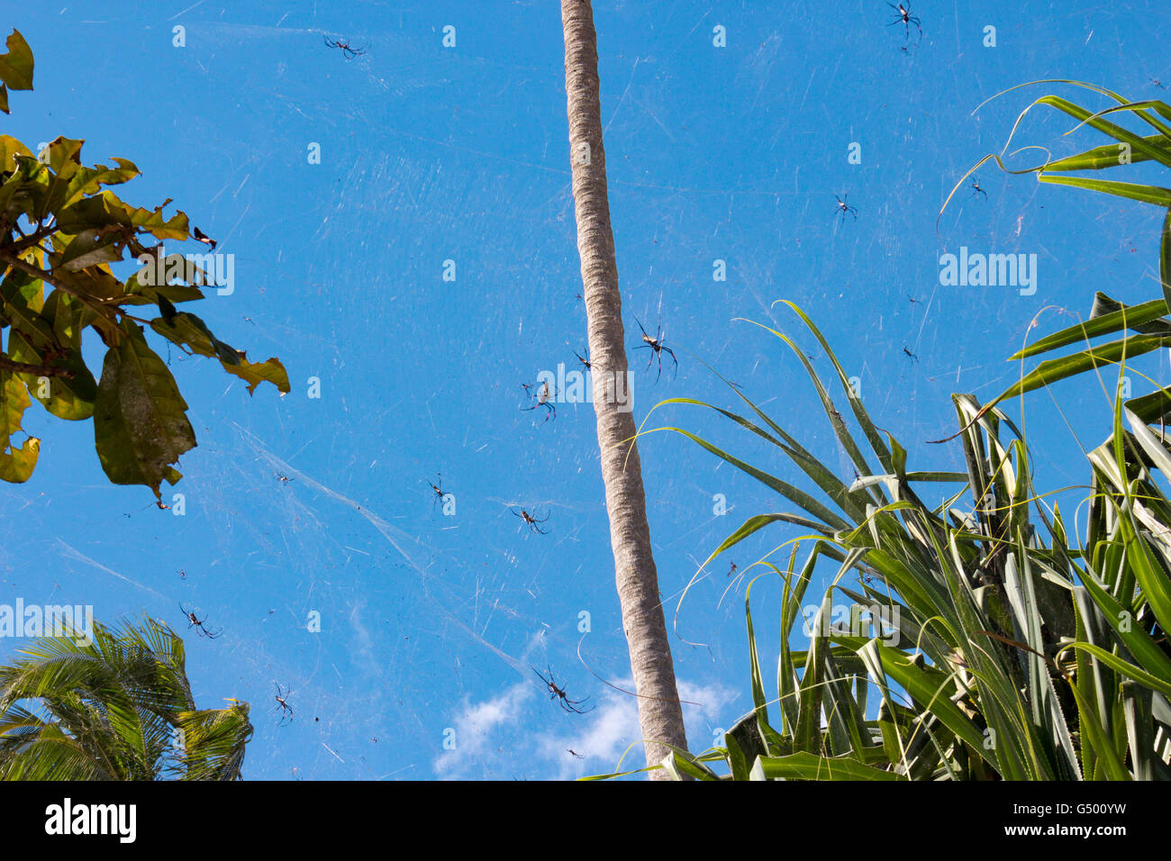 Tanzania zanzibar nungwi dhow building hi-res stock photography and ...