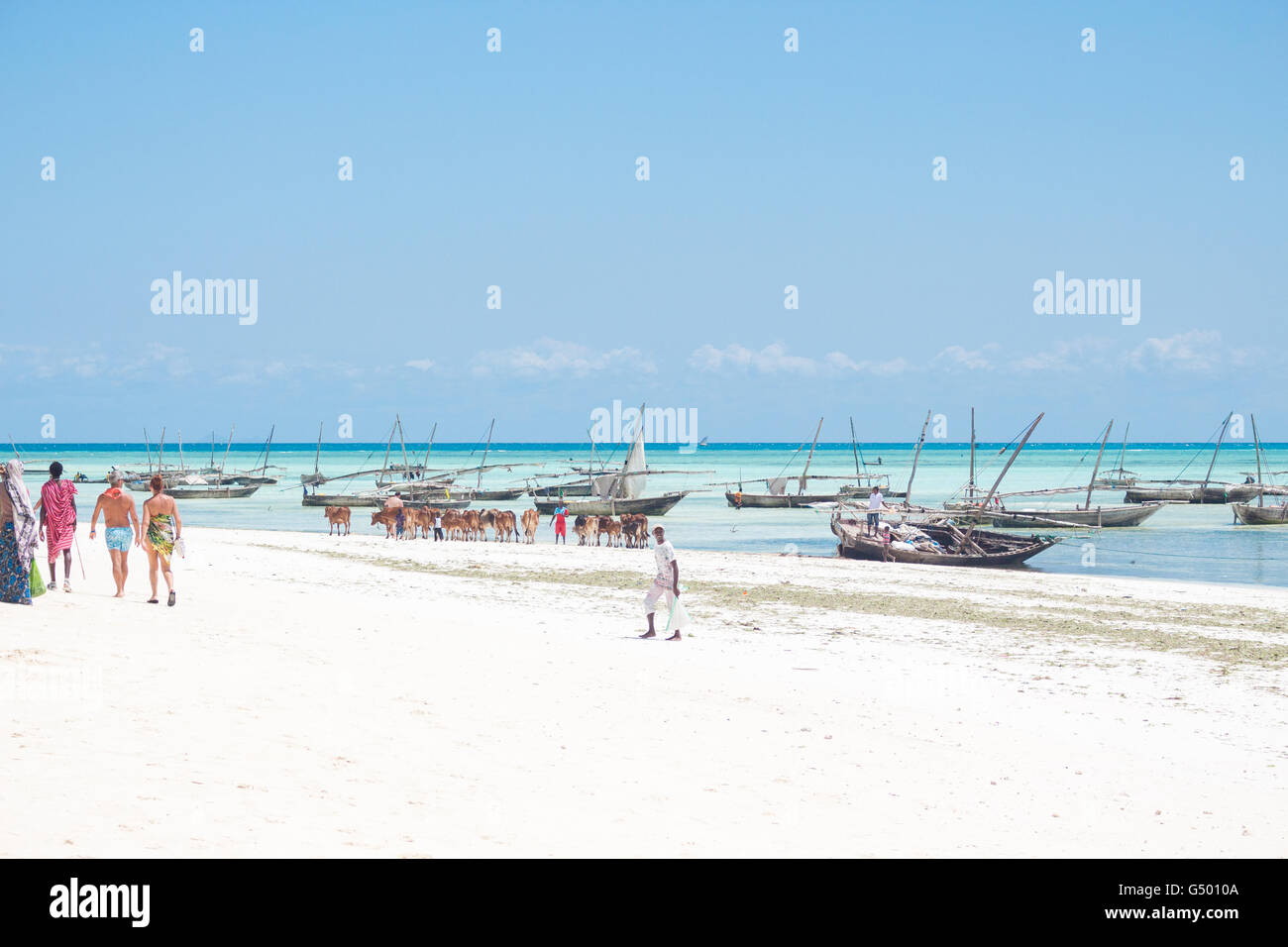 Tanzania zanzibar nungwi dhow building hi-res stock photography and ...