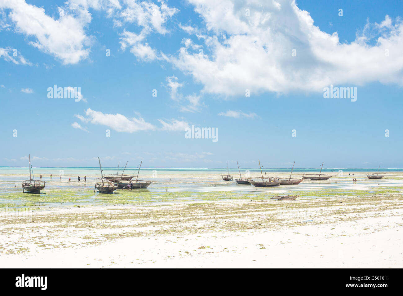 Tanzania zanzibar nungwi dhow building hi-res stock photography and ...