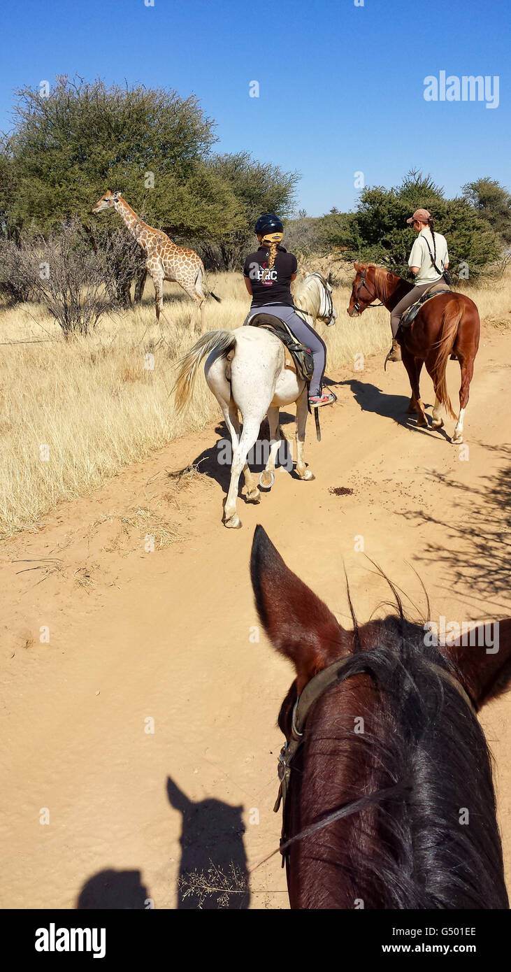 Namibia, Okapuka Ranch, morning horse ride, game ride, meeting a ...