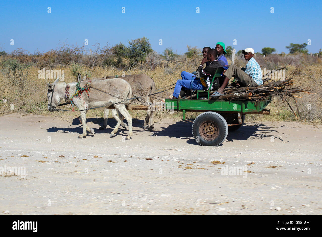 Donkey carts hi-res stock photography and images - Alamy