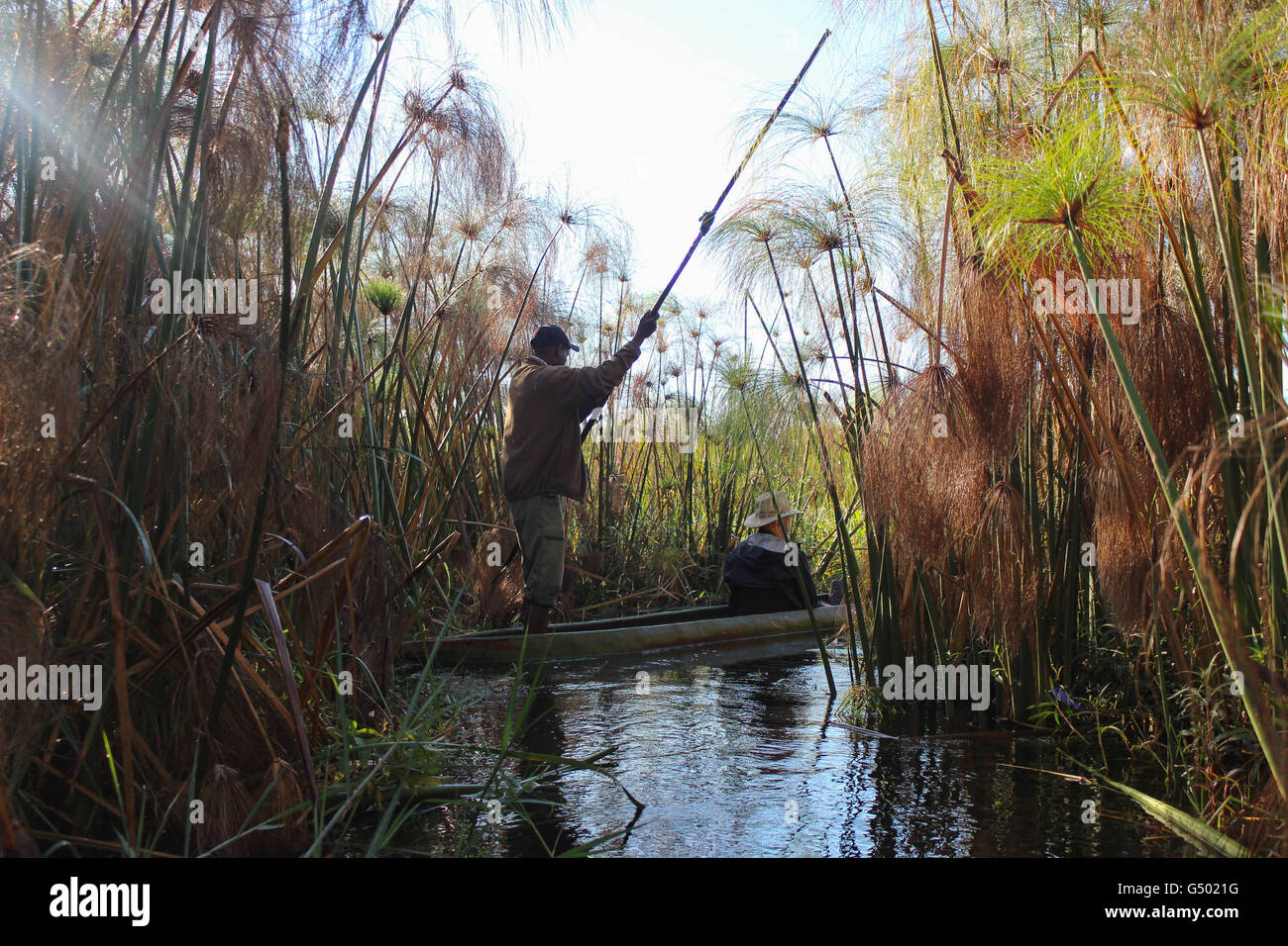 Papyrus maze hi-res stock photography and images - Alamy