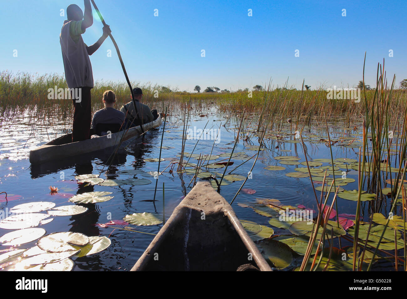 Botswana, Okavango Delta, mokoro ride in the sunshine, a Mokoro is a ...