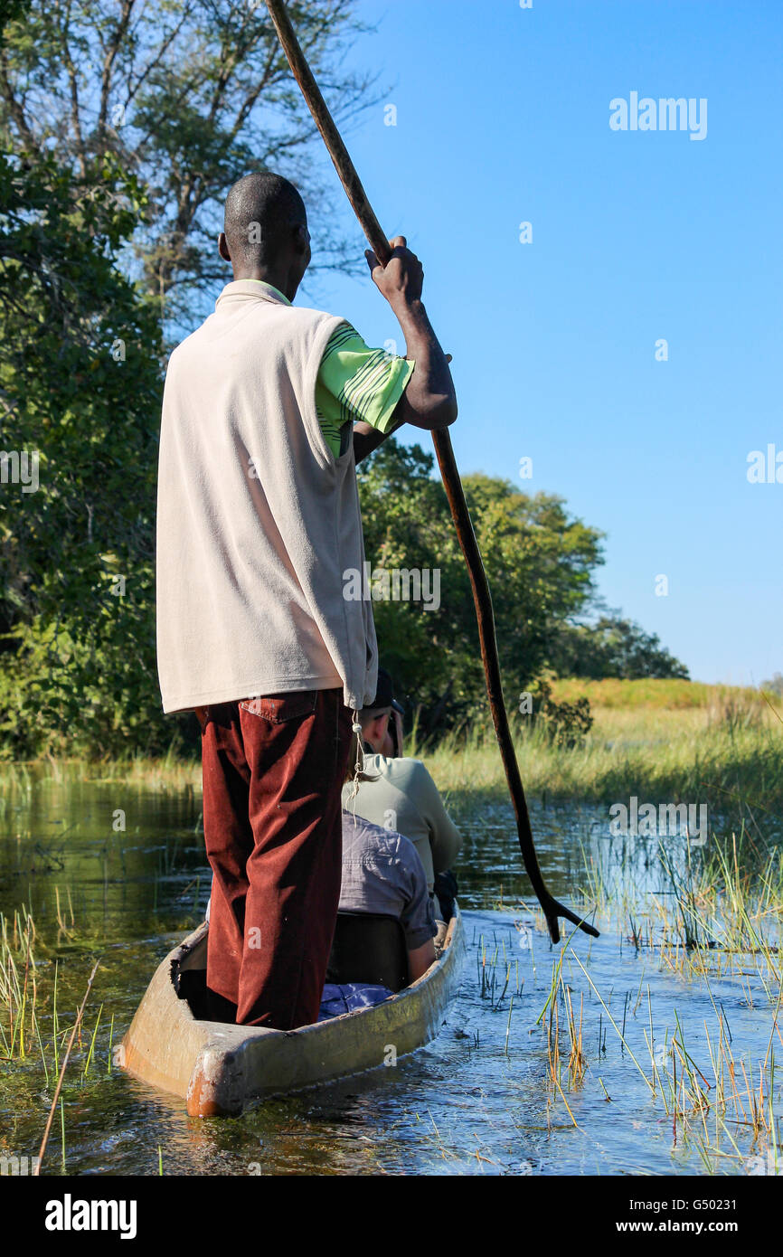 Botswana, Okavango Delta, African controls Mokoro, a Mokoro is a four ...