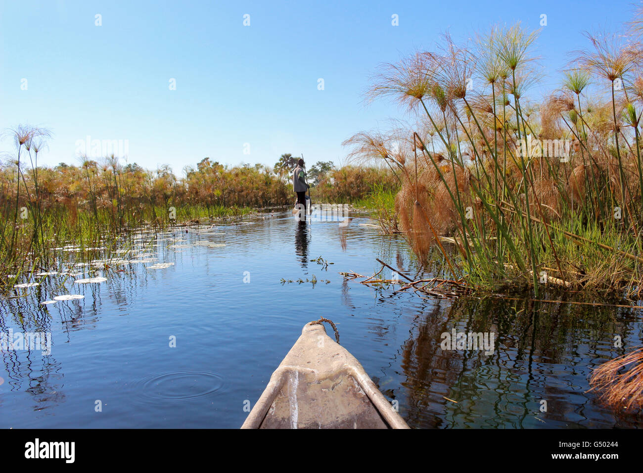 Botswana, Okavango Delta, Mokoro ride through peaceful Okavango Delta ...