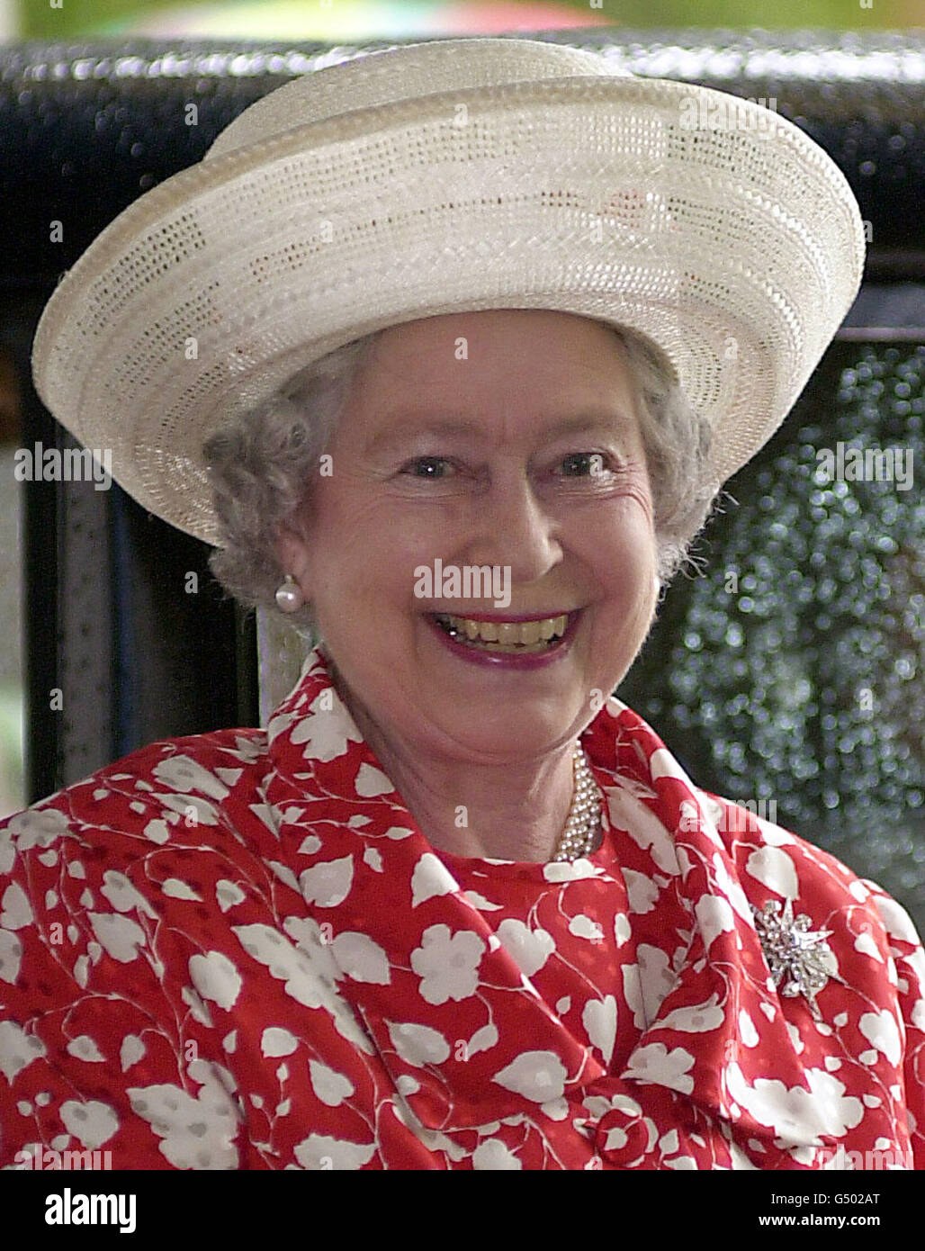 Elizabeth Fink's Instagram, Twitter & Facebook on IDCrawl