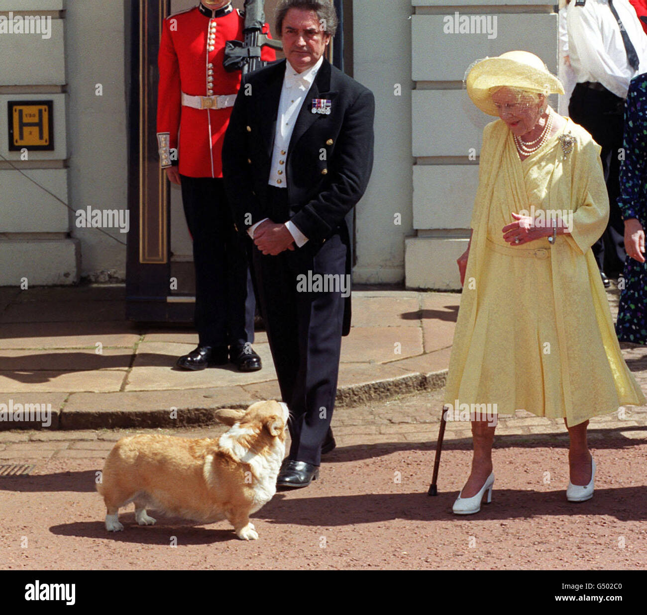 Welsh Corgi Queen Elizabeth