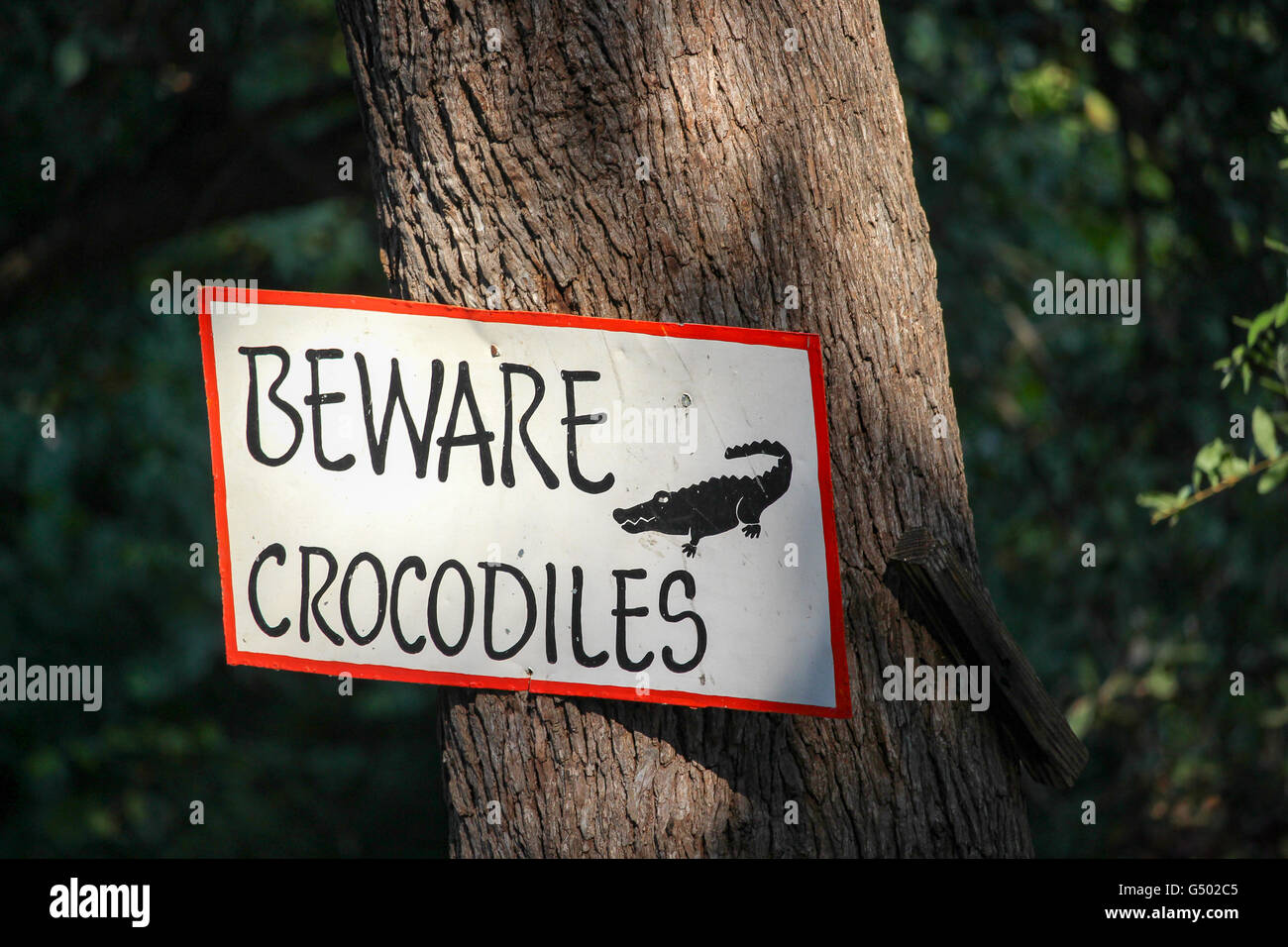 Beware of the crocodiles sign hi-res stock photography and images - Alamy