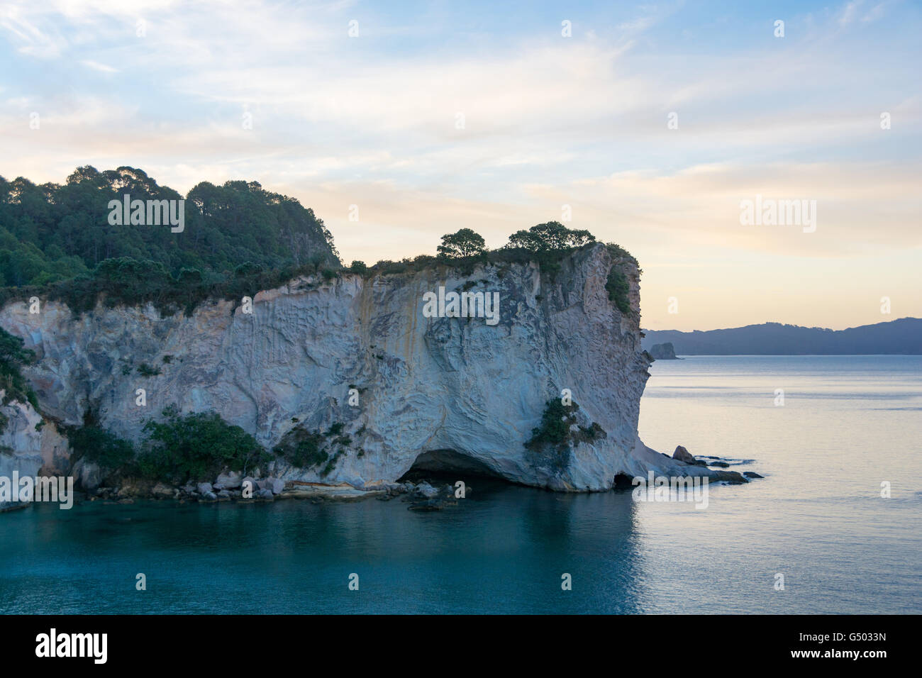 New Zealand, Waikato, Hahei, high bank in the evening light Stock Photo ...