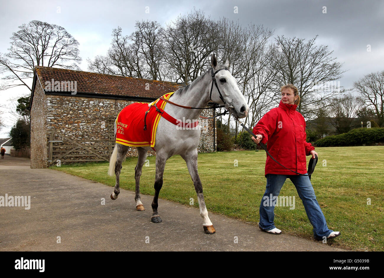 Horse Racing - David Pipe Stable Visit. Grands Crus is paraded during a ...
