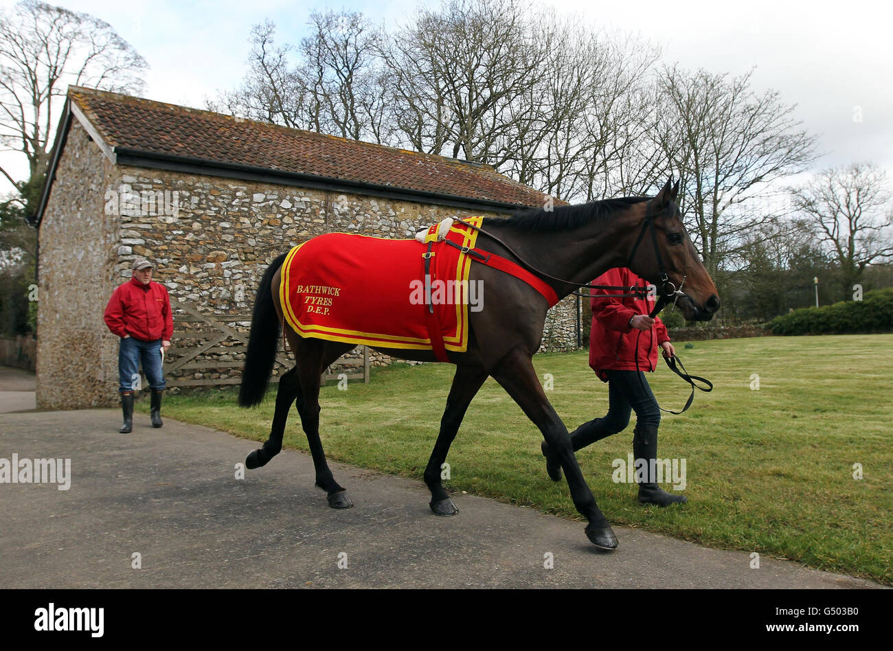 Horse Racing - David Pipe Stable Visit Stock Photo - Alamy