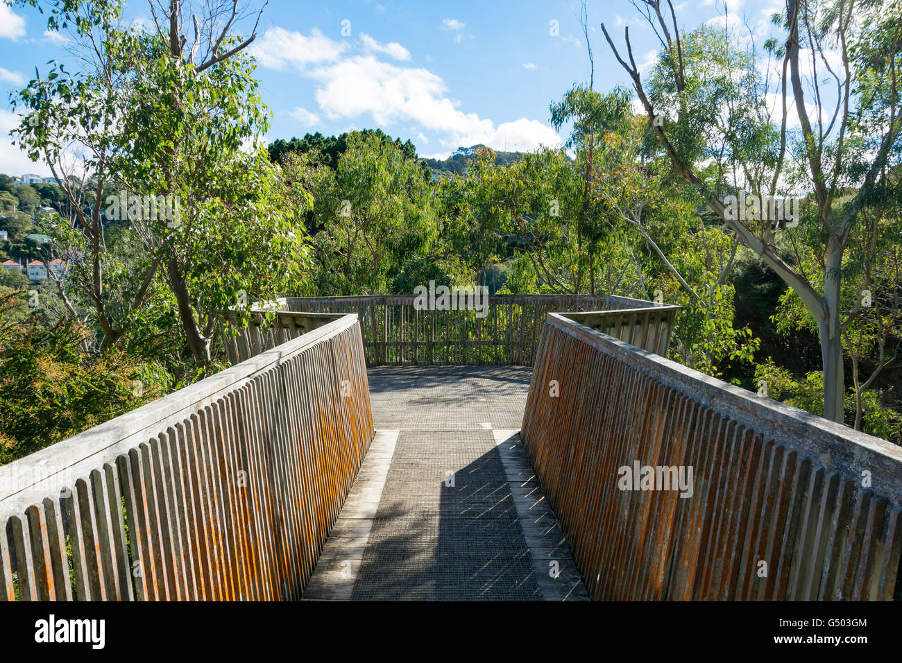 New Zealand, Wellington, lookout platform in Wellington Stock Photo - Alamy