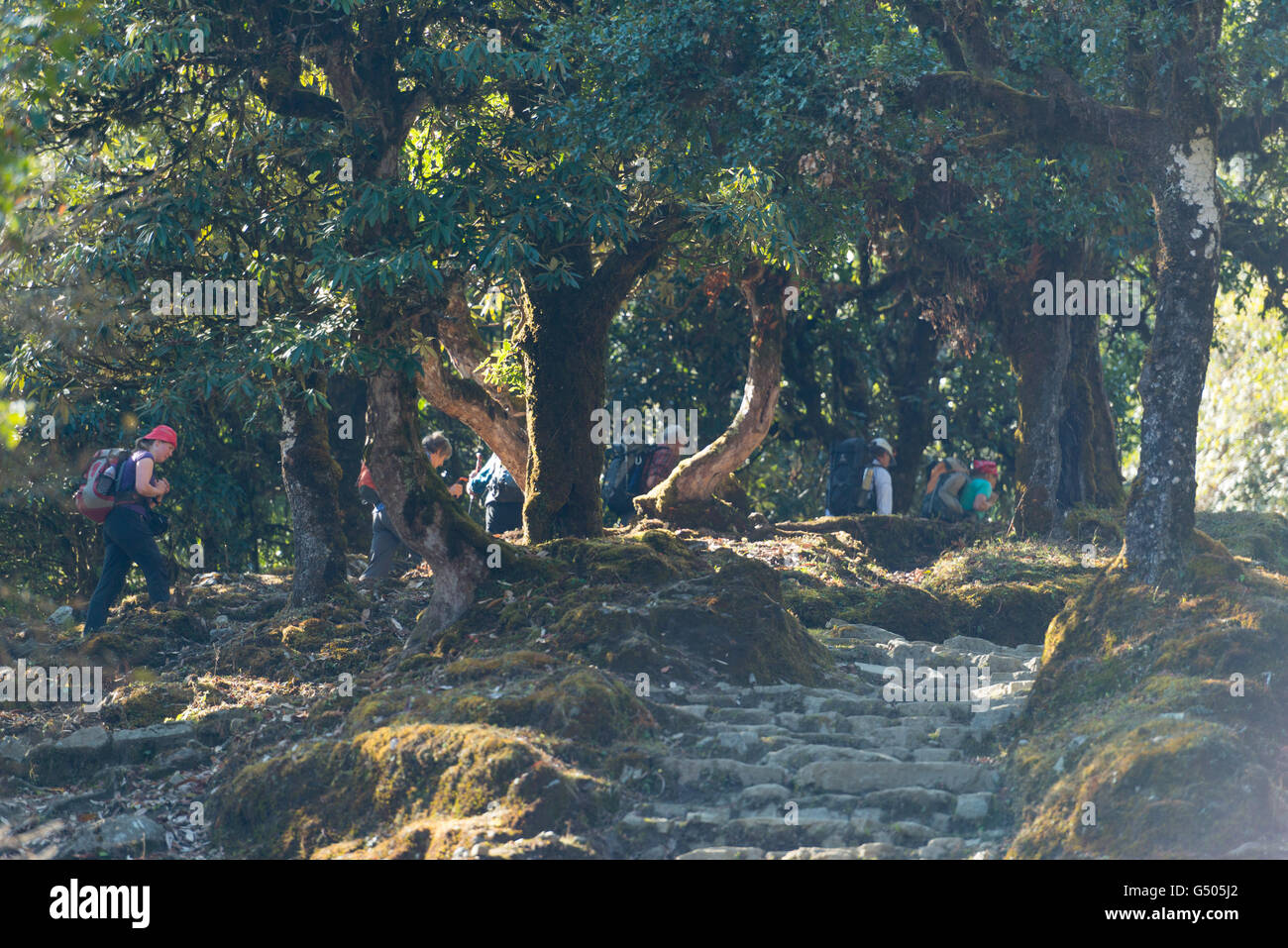 Nepal, Western Region, Shikha, On the Annapurna Circuit - Day 13 - From ...