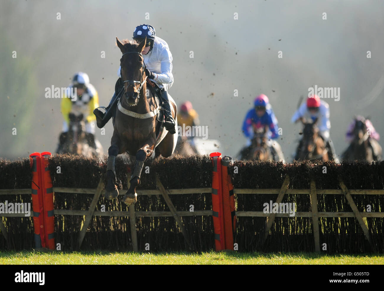 National hunt racing hi-res stock photography and images - Alamy