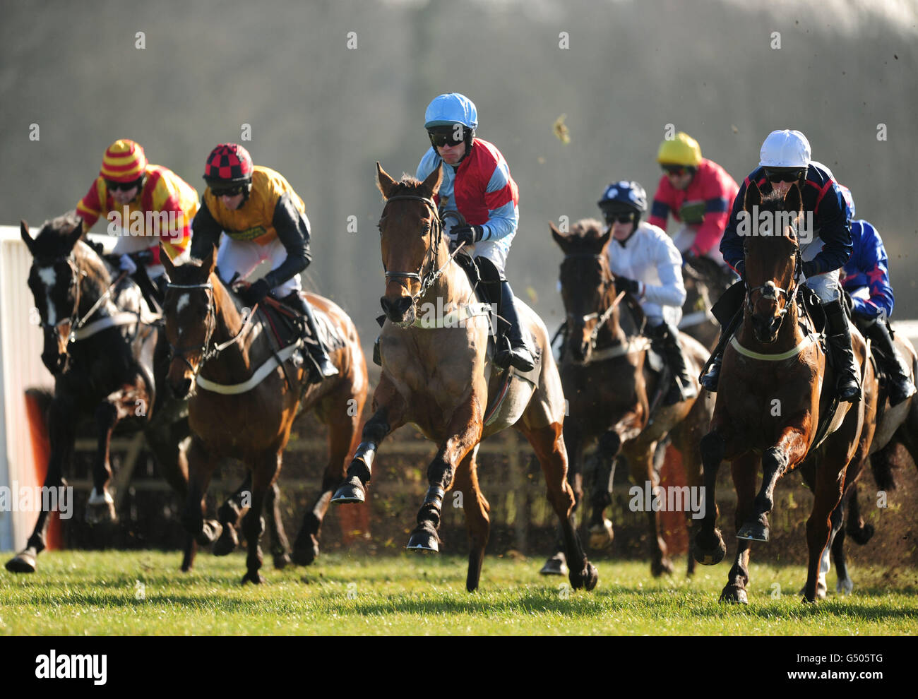 Horse Racing - Afternoon National Hunt Racing - Lingfield Park ...