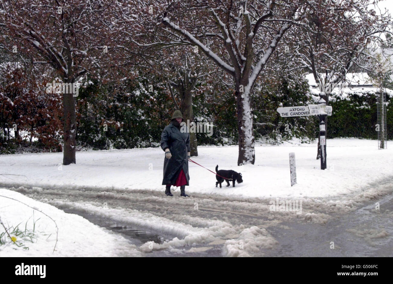 A woman braves the elements to walk her dog , following heavy snowfall ...