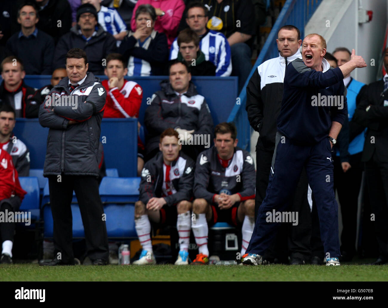 Sheffield Wednesday Manager Danny Wilson High Resolution Stock ...