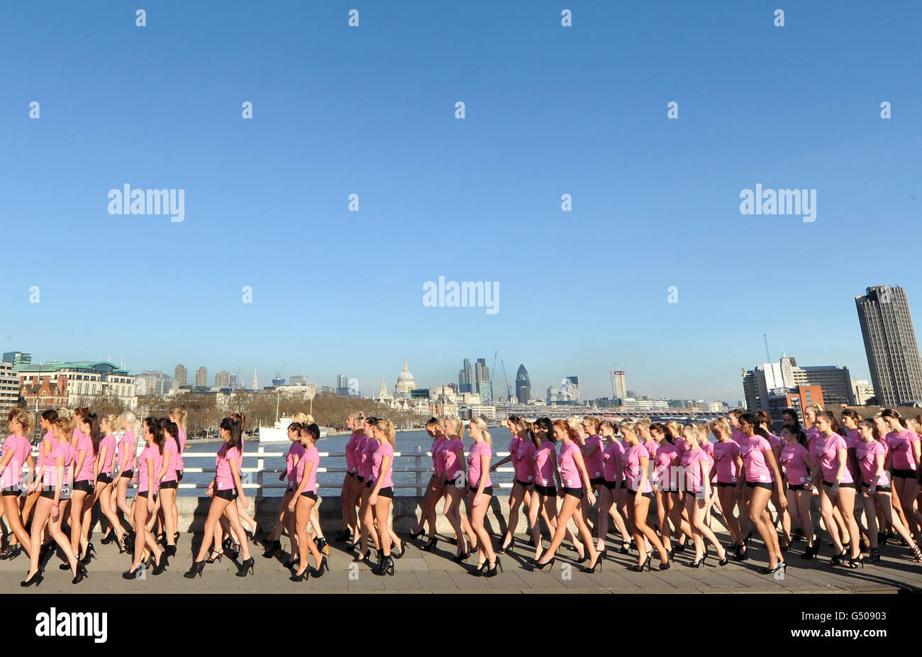 100 legs hi-res stock photography and images - Alamy