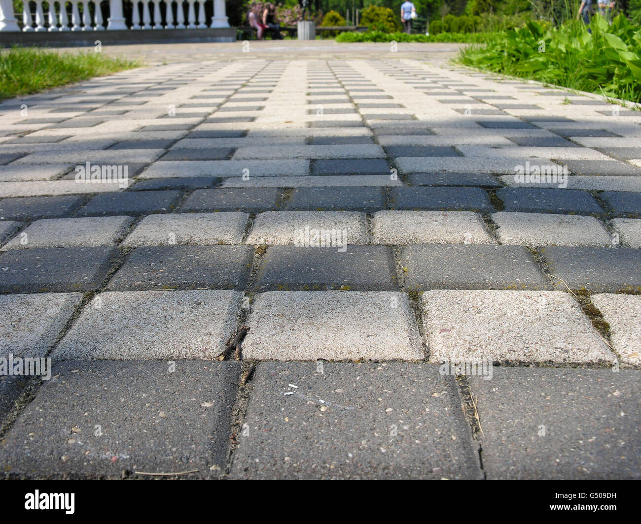 Rectangular paving path Stock Photo - Alamy