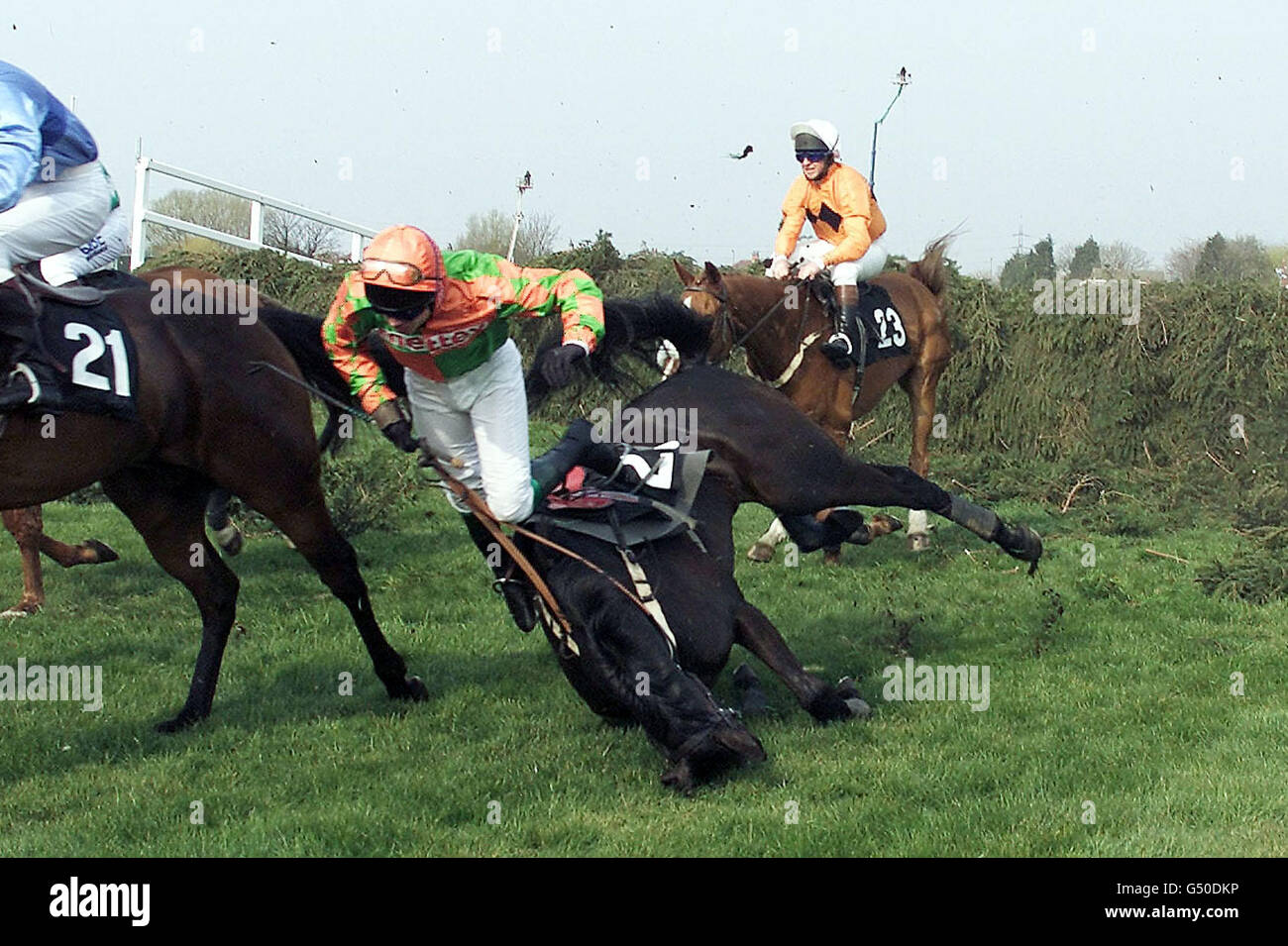 Toni's Tip ridden by Adrian Maguire falls at the first fence during the ...