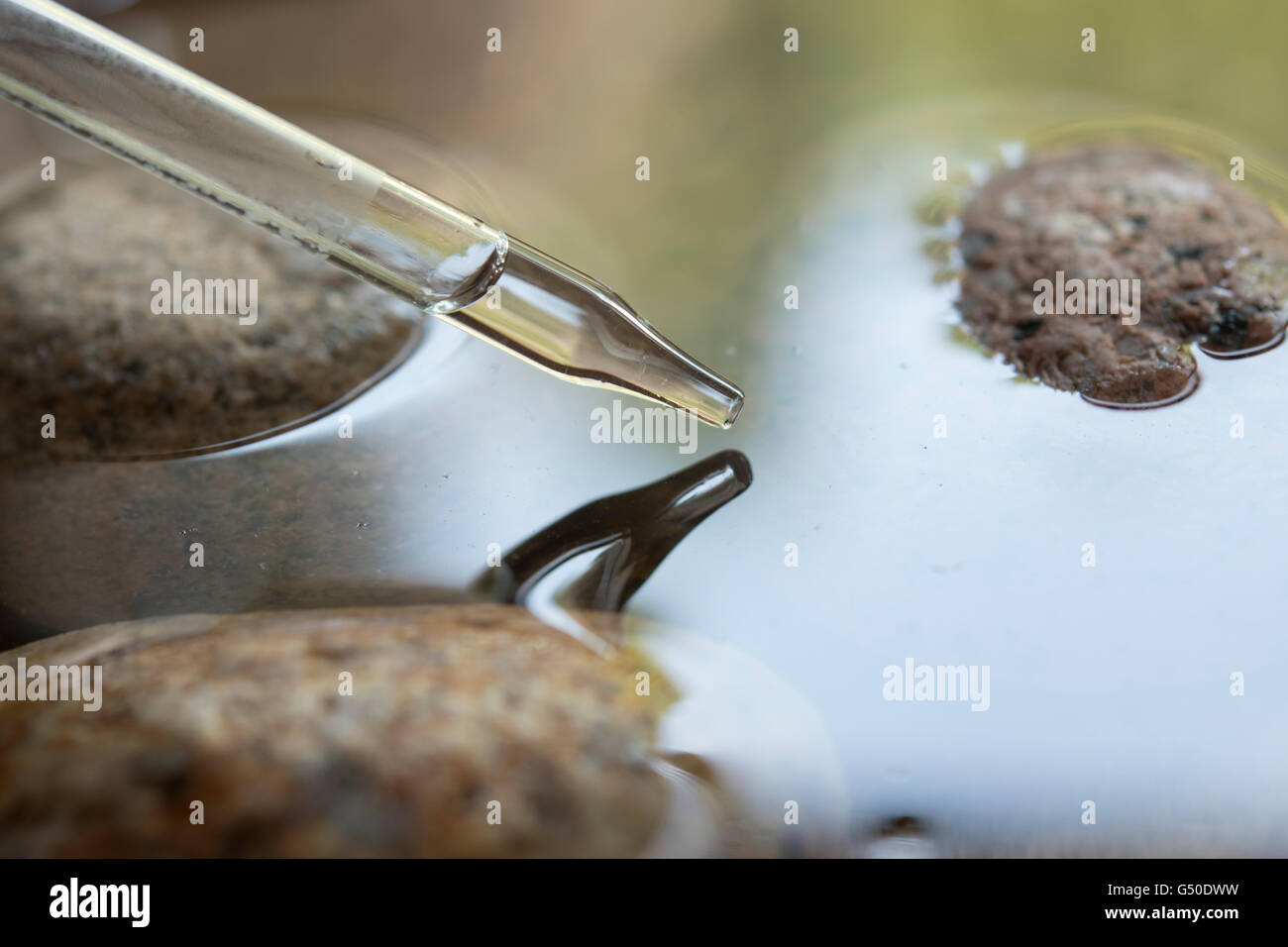 Taking water sample hi-res stock photography and images - Alamy