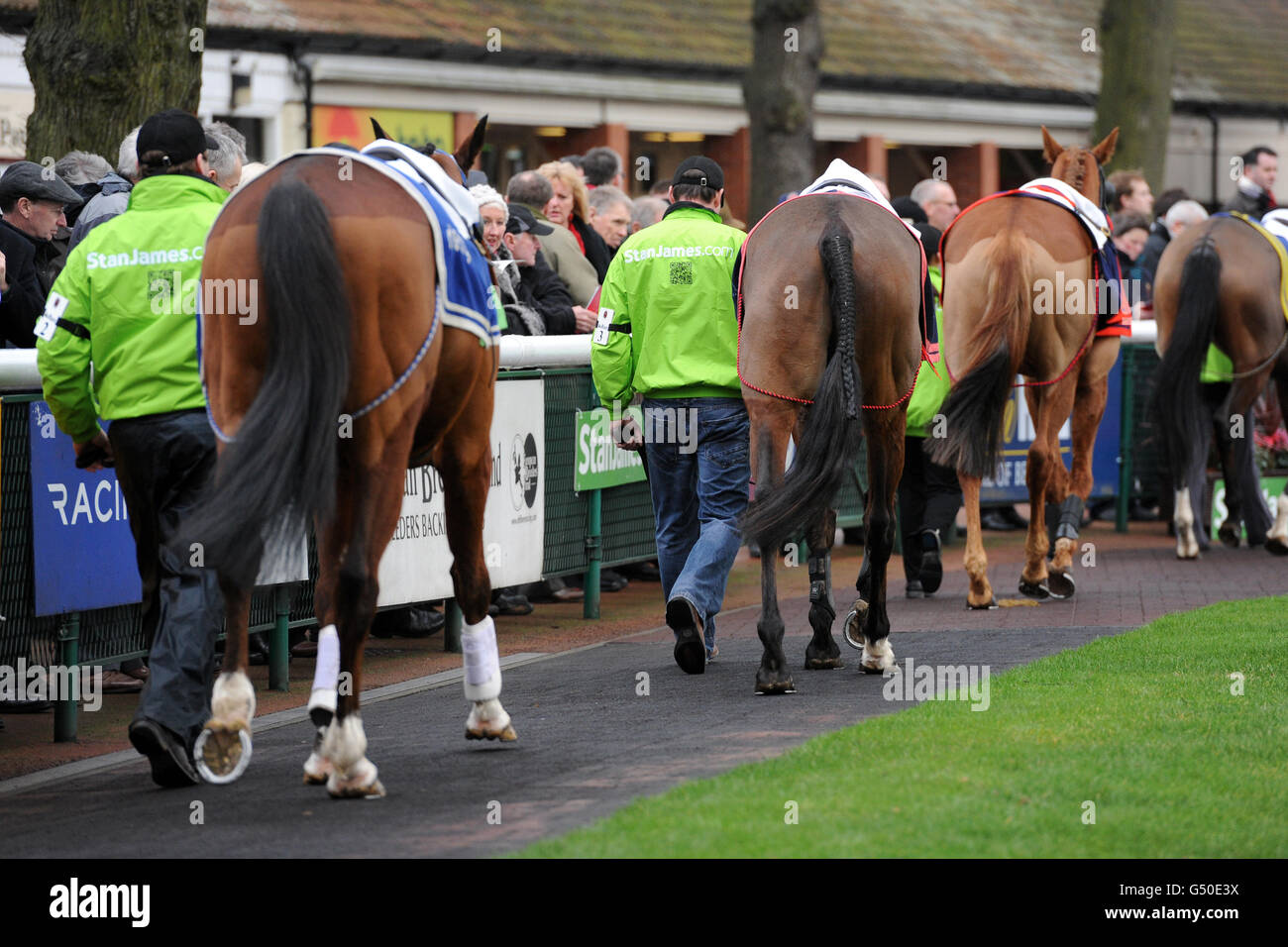 Horses are paraded in the parade ring hi-res stock photography and ...