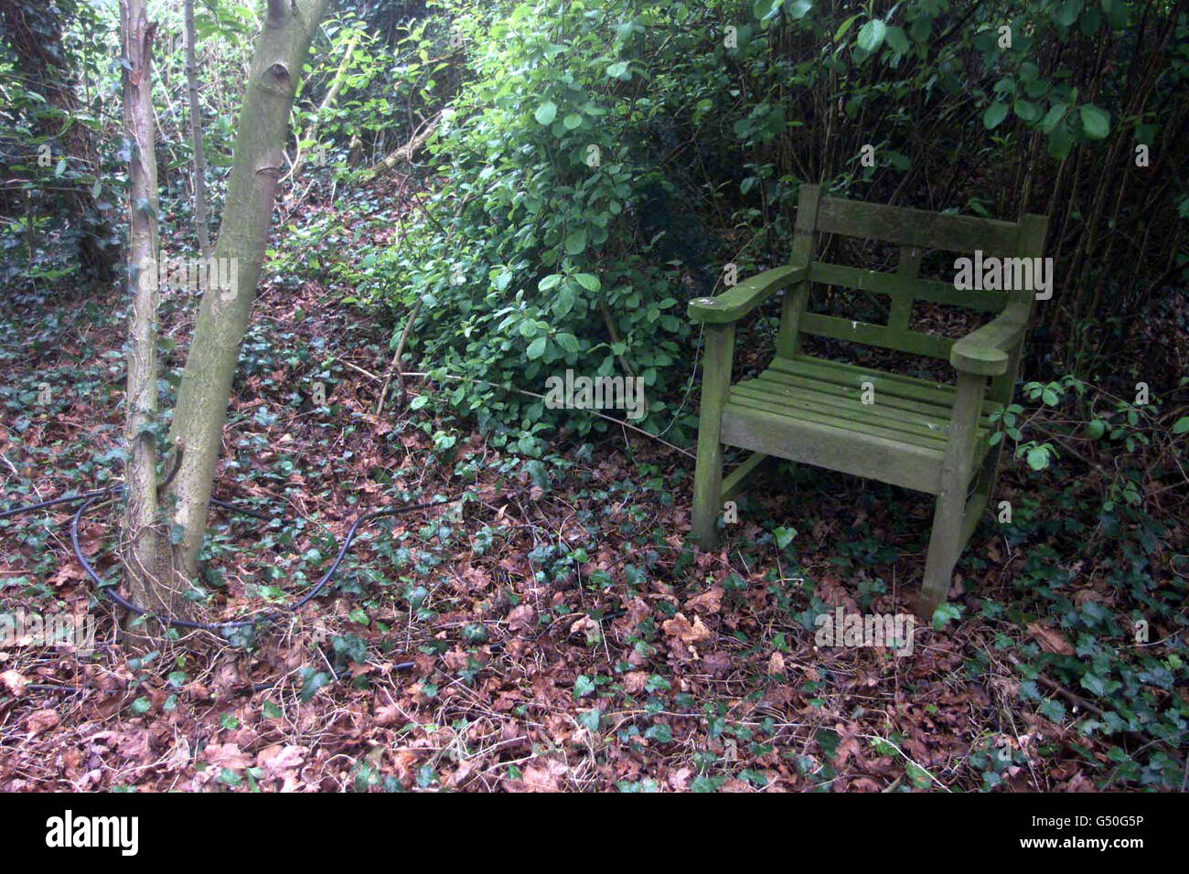 Day night on farm hi-res stock photography and images - Alamy