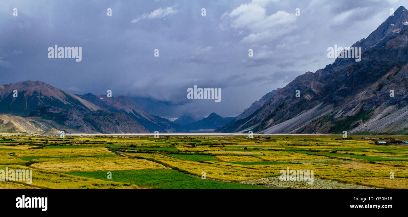 Rawu, Nyingchi, Tibet - The beautiful landscape of golden field with ...