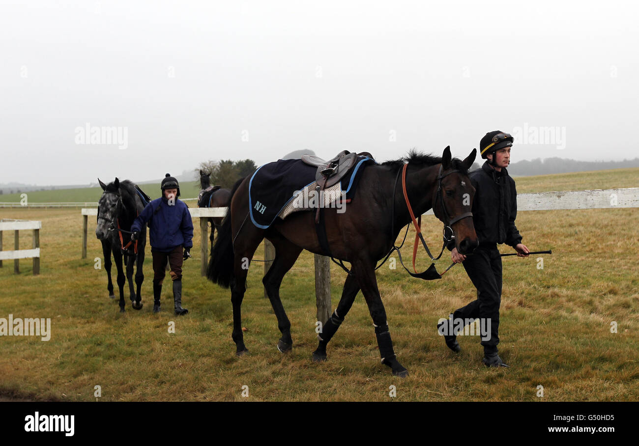 On the gallops during stable visit at seven barrows stables hi-res ...