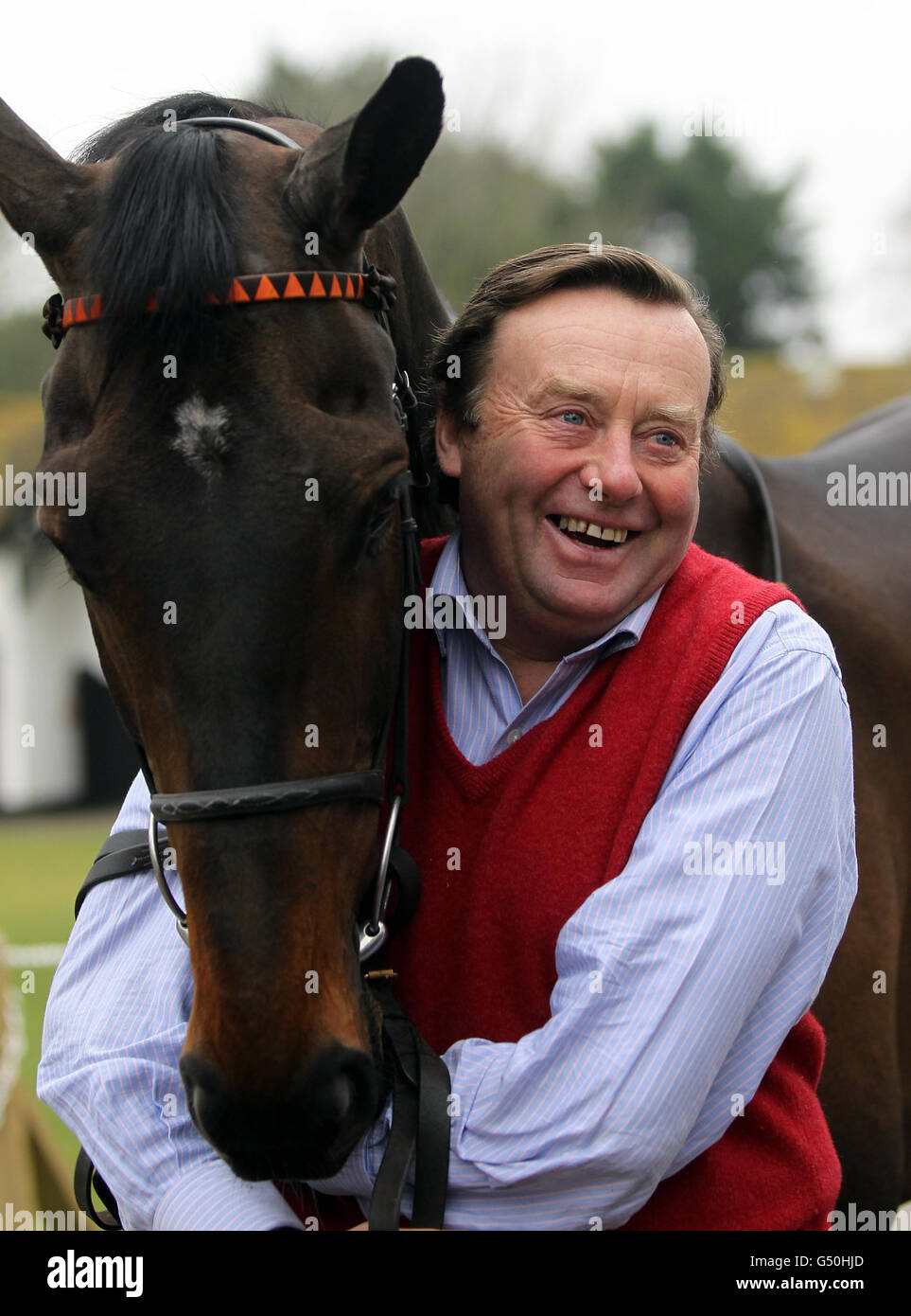 Horse racing nicky henderson stable visit seven barrows stables hi-res ...