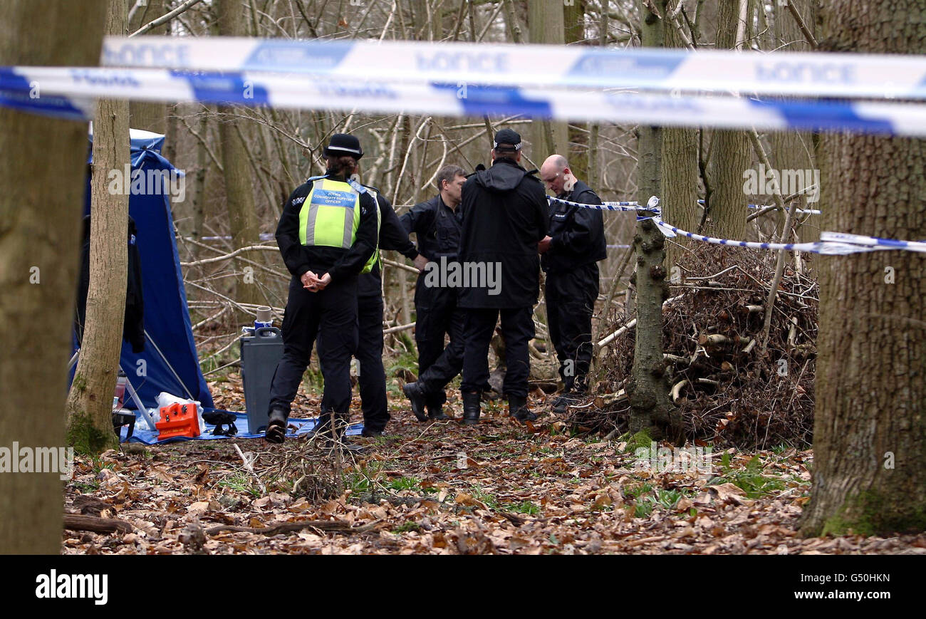 Human remains found Stock Photo - Alamy
