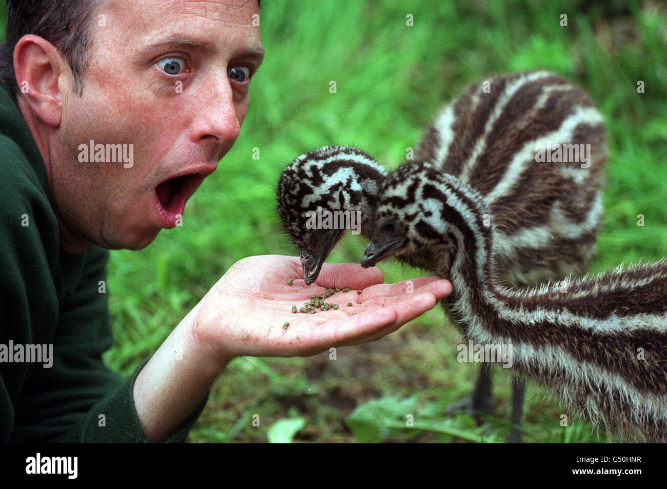 Which came from london zoos sister zoo hi-res stock photography and ...