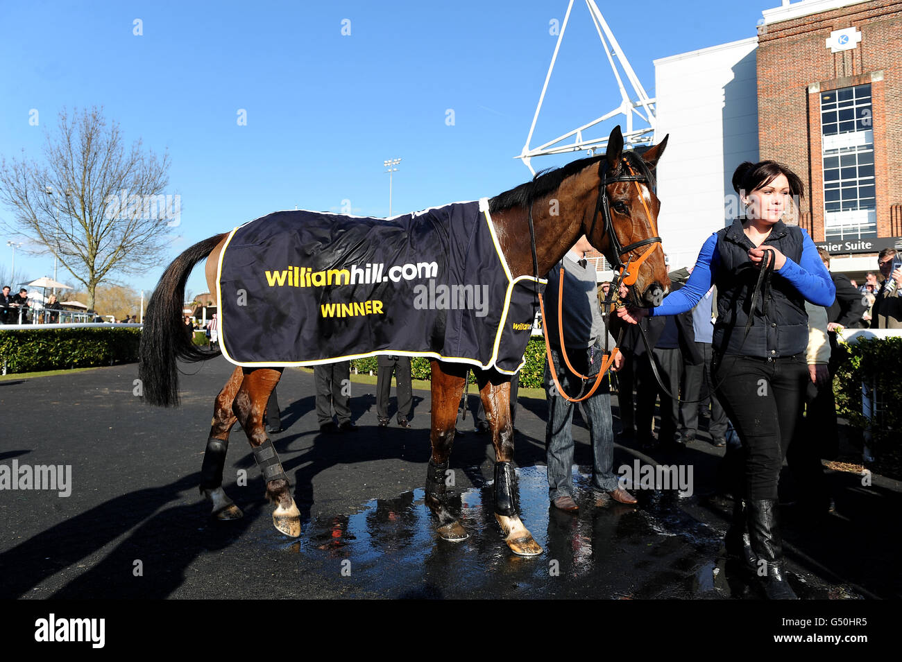 Racing plus branding logo hi-res stock photography and images - Alamy