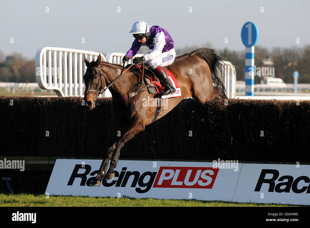 Races action racing plus signage hi-res stock photography and images ...