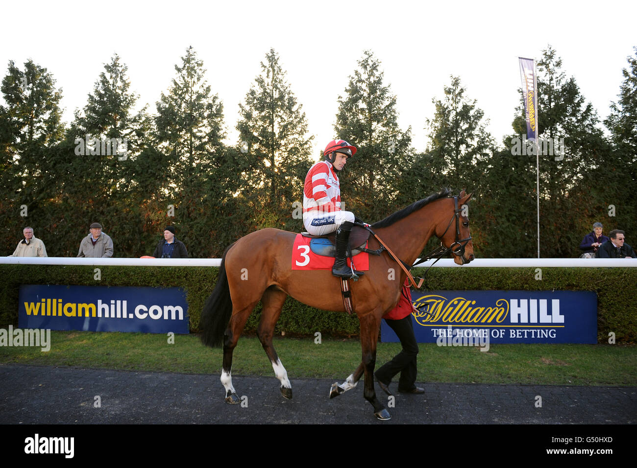 Jockey Ruby Walsh on The Reformer in the parade ring prior to the ...