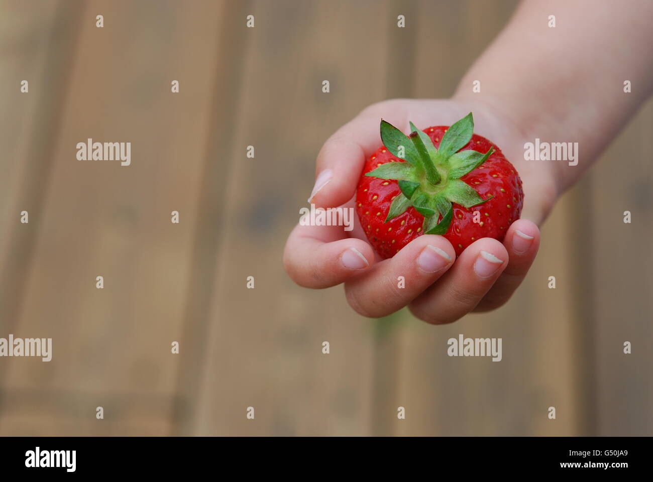 Hand holding strawberry close hi-res stock photography and images - Alamy