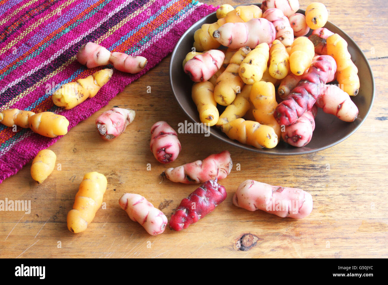 Close up of colorful Peruvian tuber vegetable oca on a rustic table ...